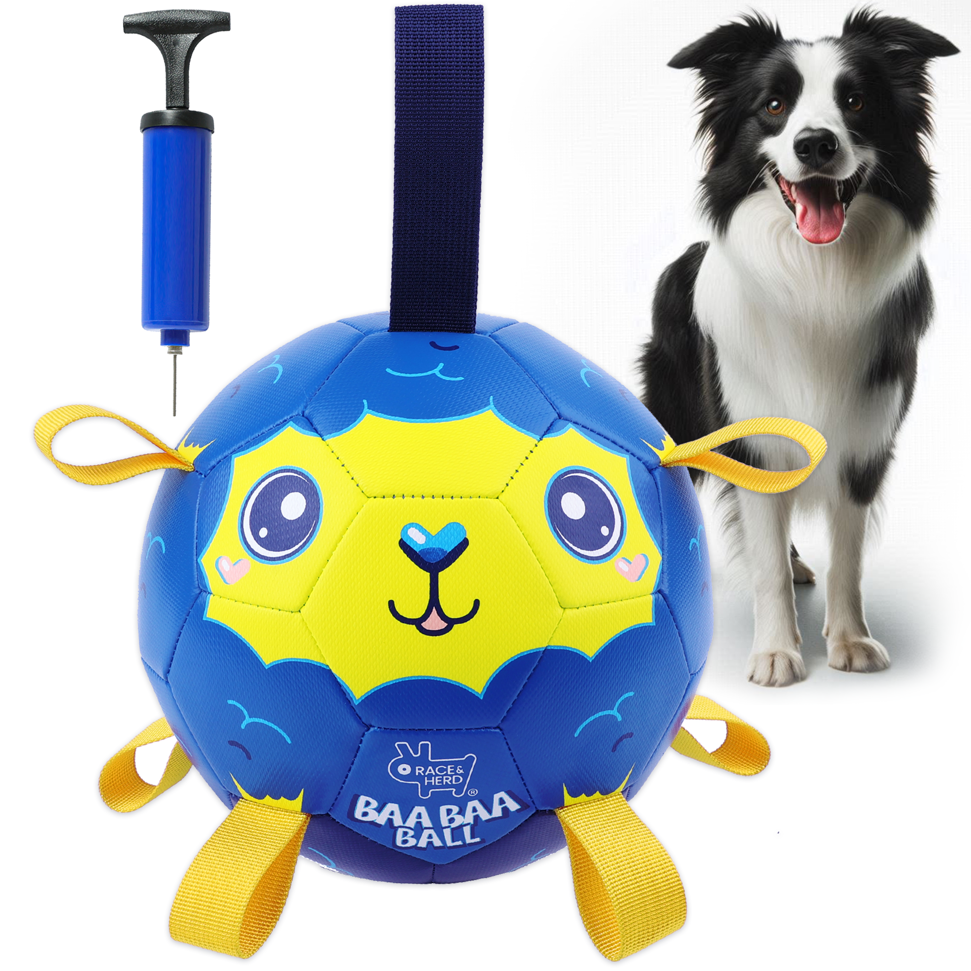 Race&Herd │ Herding Ball for Dogs