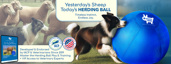 Race&Herd │ Herding Ball for Dogs