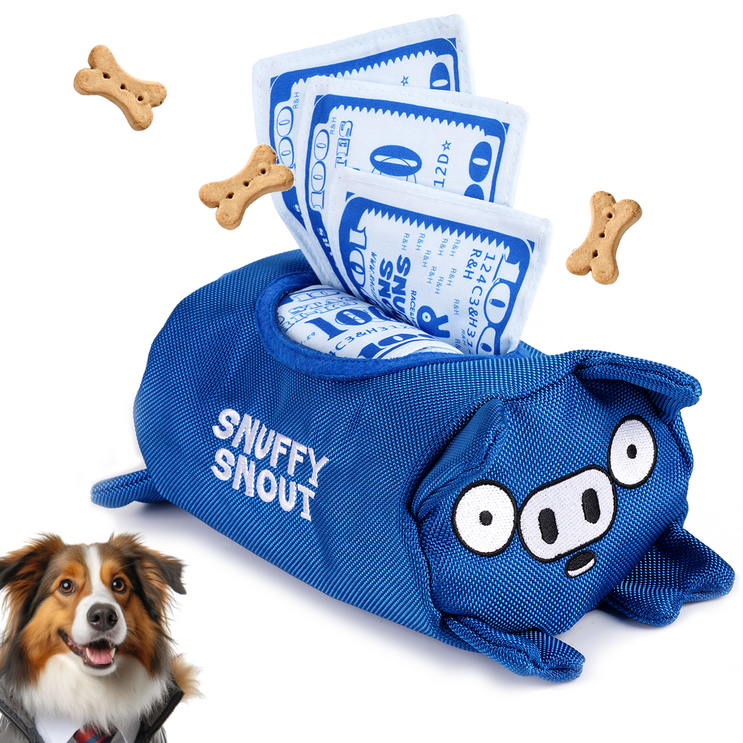 How Do You Introduce a Herding Ball to a Dog?