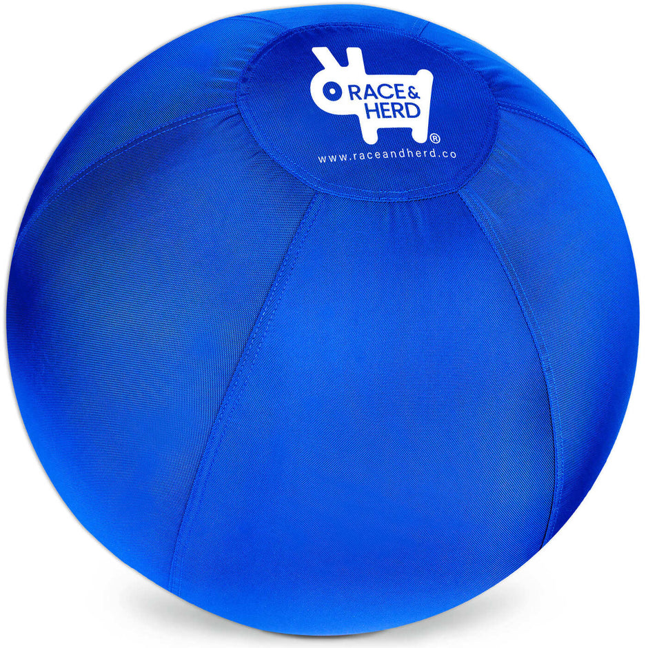 Race&Herd │ Herding Ball for Dogs